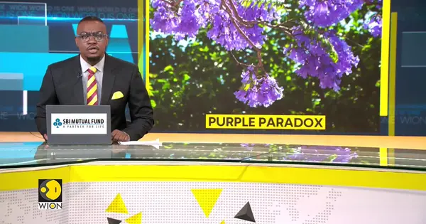 Scientists reveal purple is not a colour but an illusion