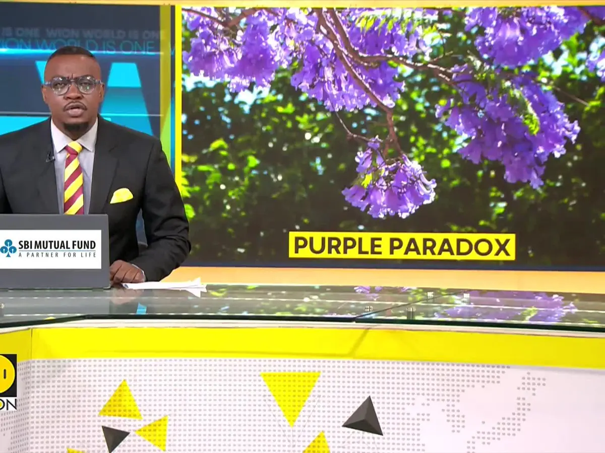 Scientists reveal purple is not a colour but an illusion