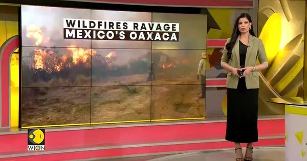 Mexico wildfire consumes hundreds of hectares of land