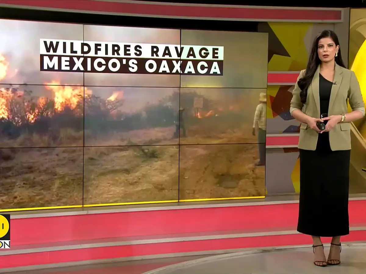 Mexico wildfire consumes hundreds of hectares of land