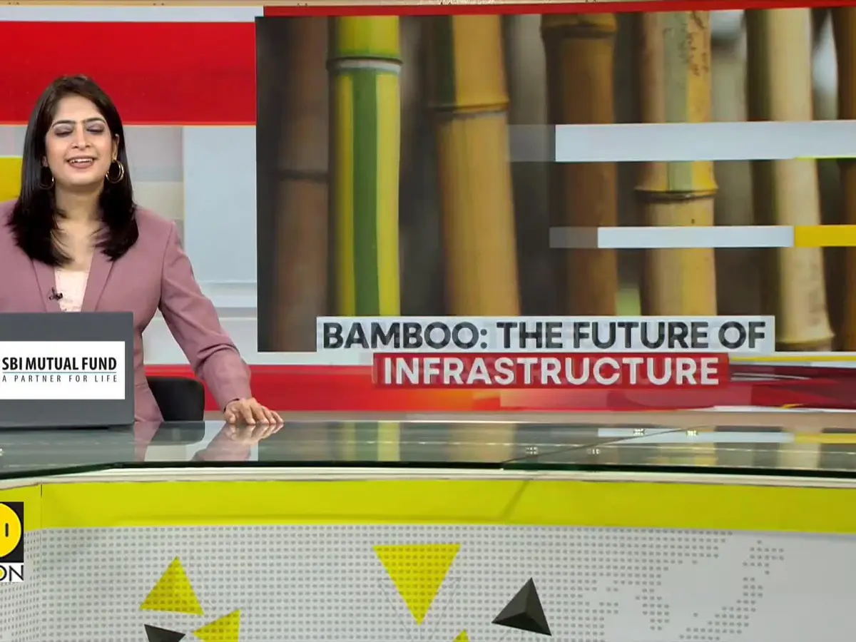 Bamboo The future of stronger, greener infrastructure?