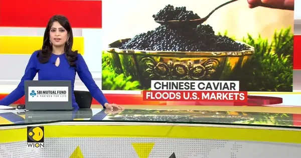 Chinese caviar floods US markets