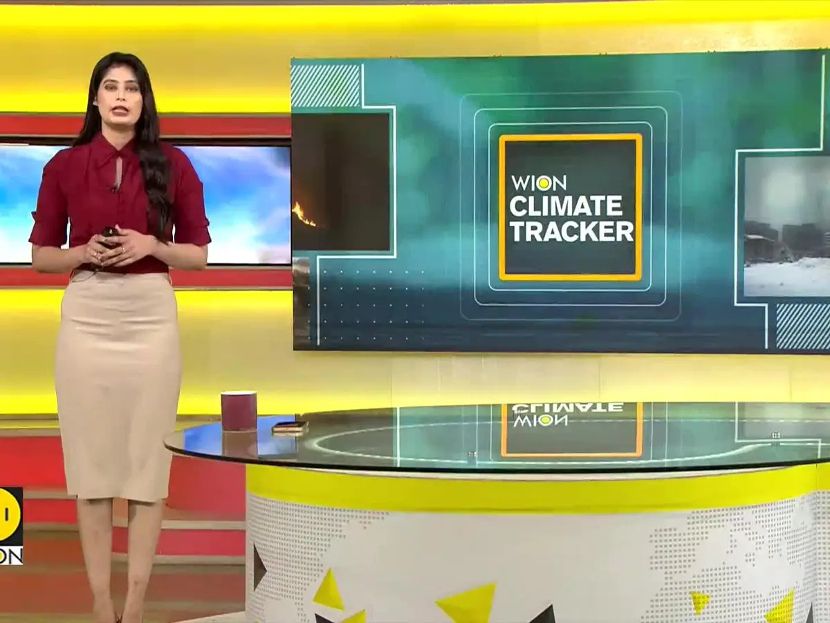 Focus on forest conservation and climate action