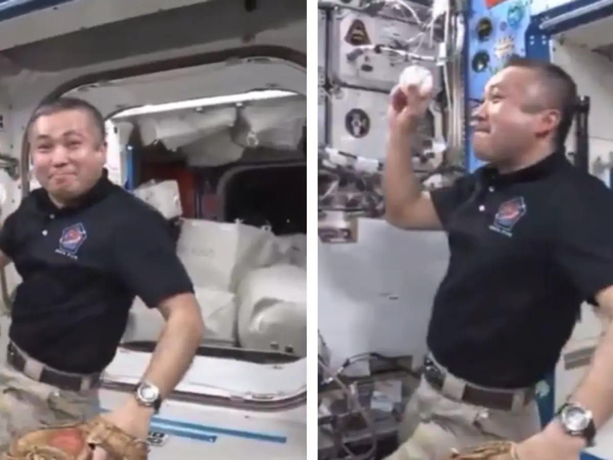 'Pitch, hit, and catch': Musk shares video of astronaut playing ...