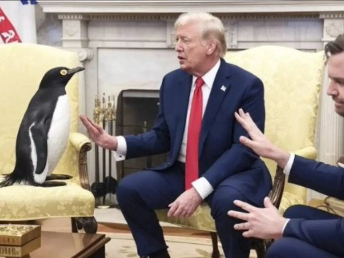 Penguin memes flood internet after Trump tariffs hit uninhabited ...
