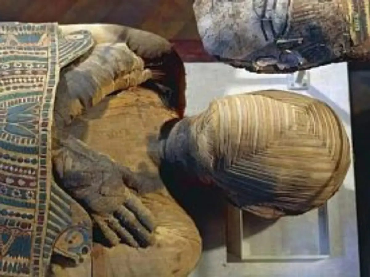 Discovered over 100 years ago, no archaeologist has dared to open THIS ...