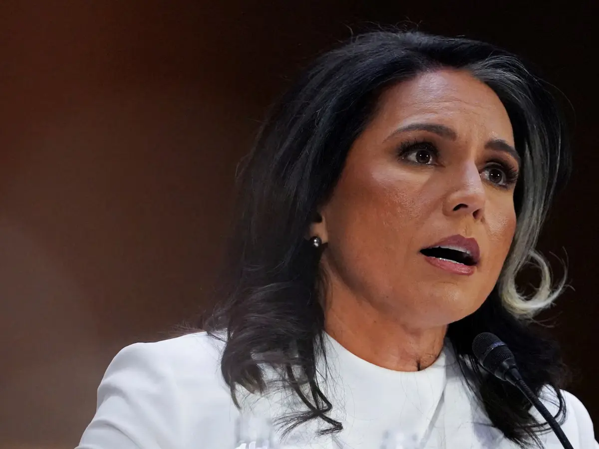 Signal chat leak: Tulsi Gabbard calls it a 'mistake', says 'in-depth ...