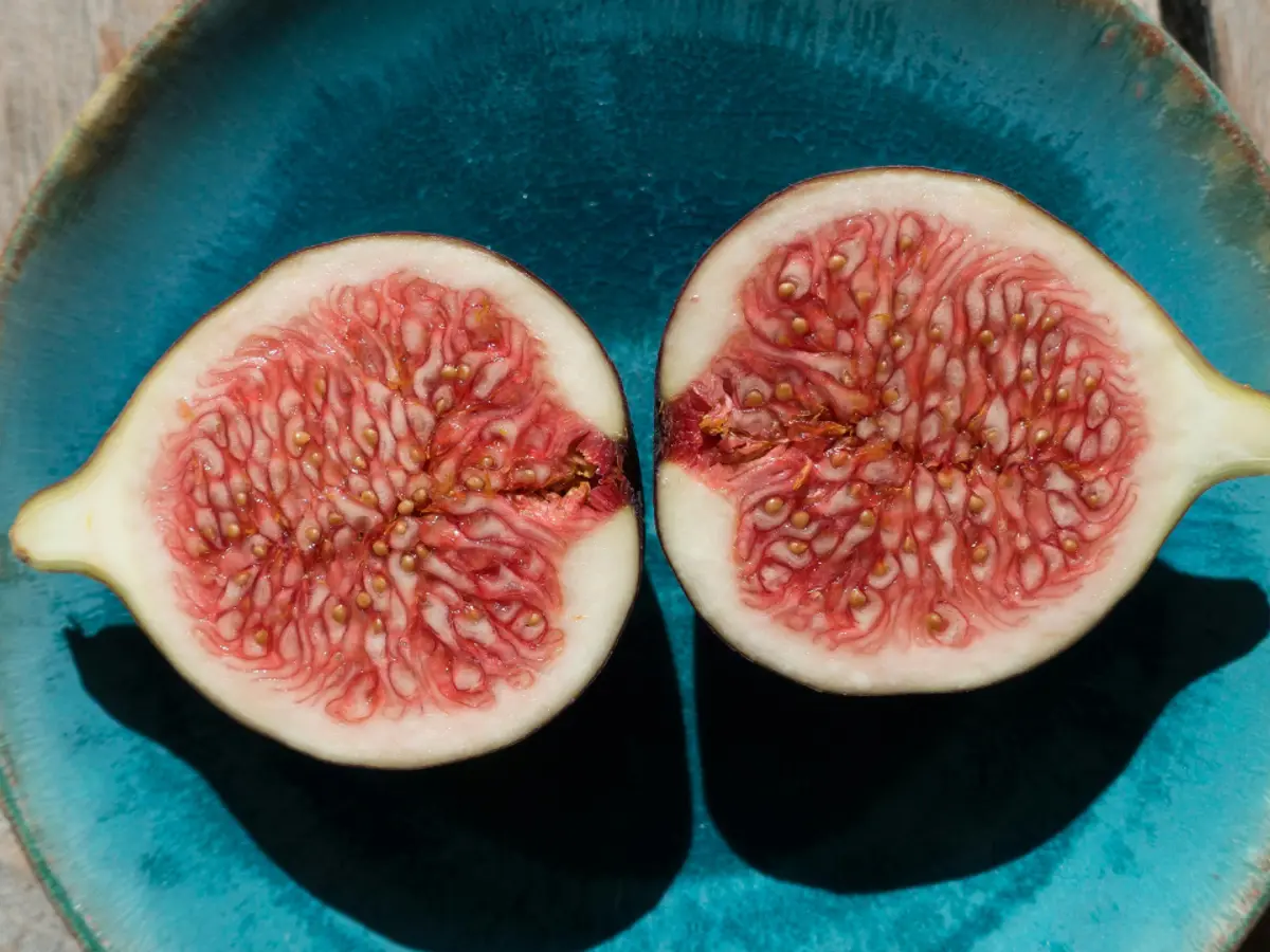 What Happens If You Eat 2 Figs Daily? Ayurveda Breaks It Down