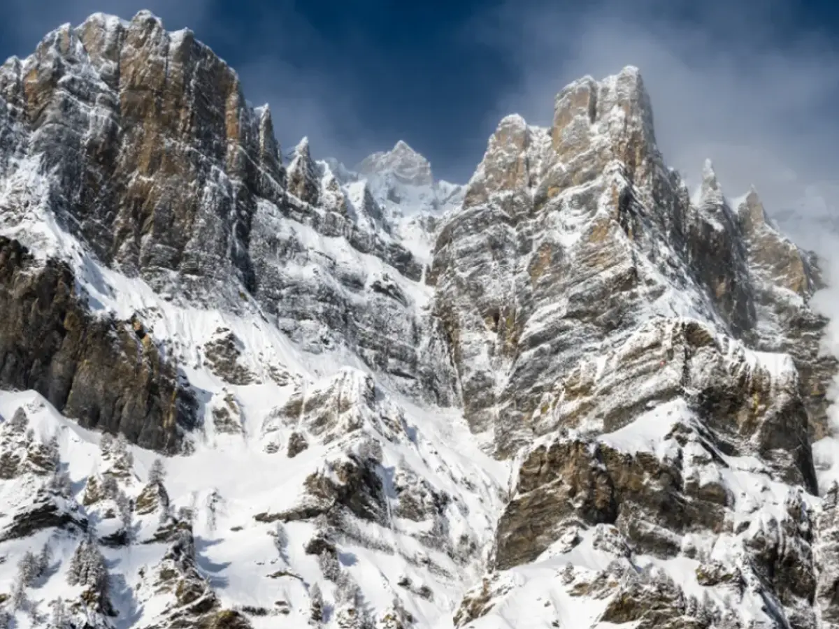 Uttarakhand avalanche: Death toll rises to five, 46 survivors under ...