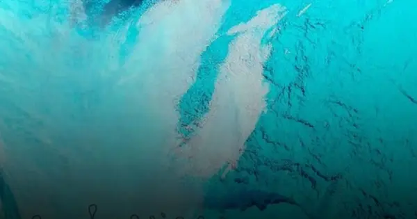 'Polynya effect': Scientists discover Switzerland-sized hole in the ...