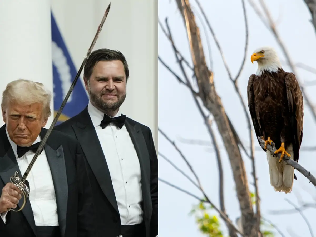 Trump 'trying to drive a knife' through ESA? US proposes allowing ...