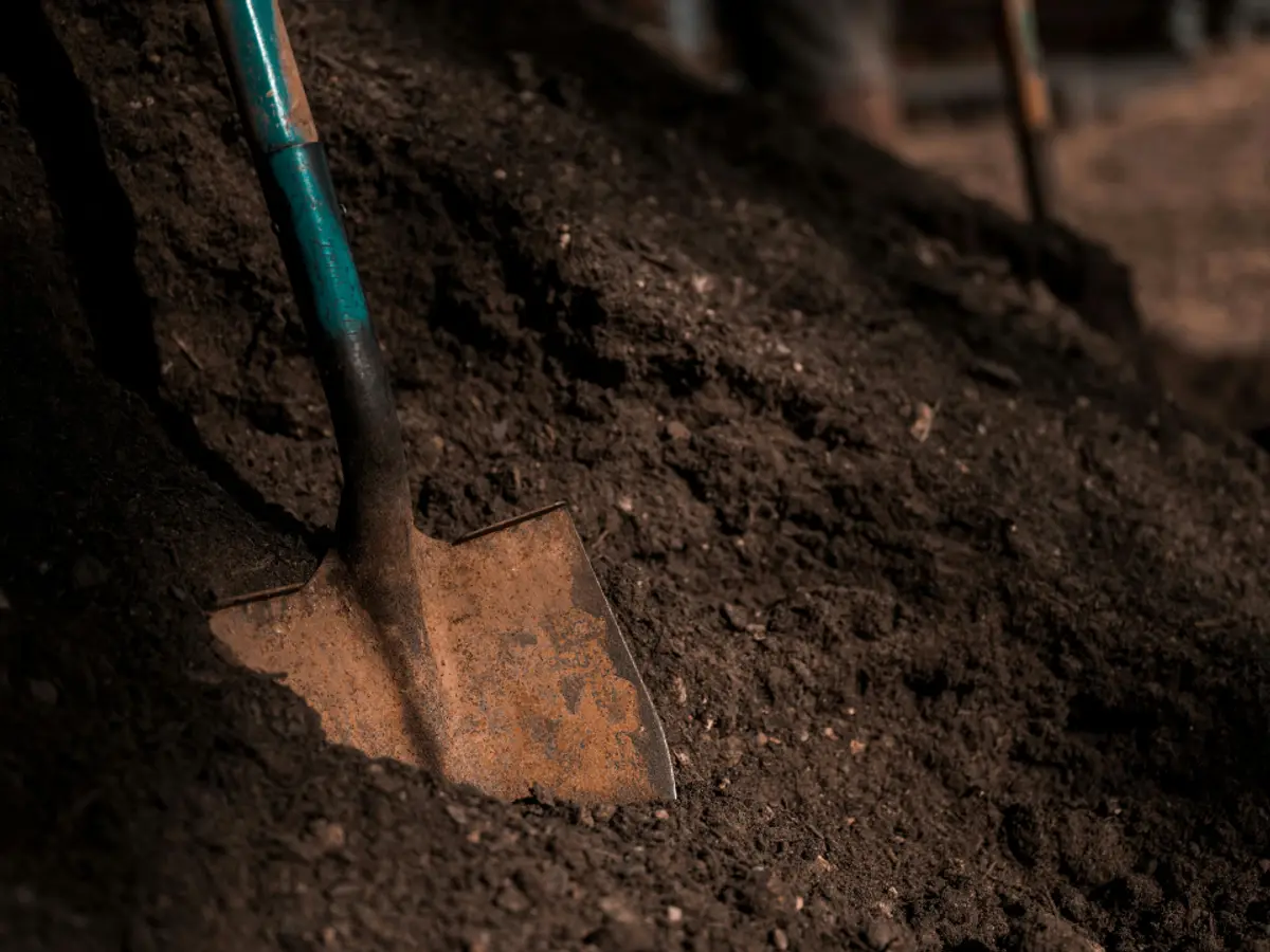 Haryana man kills tenant over alleged affair with wife, buries him ...
