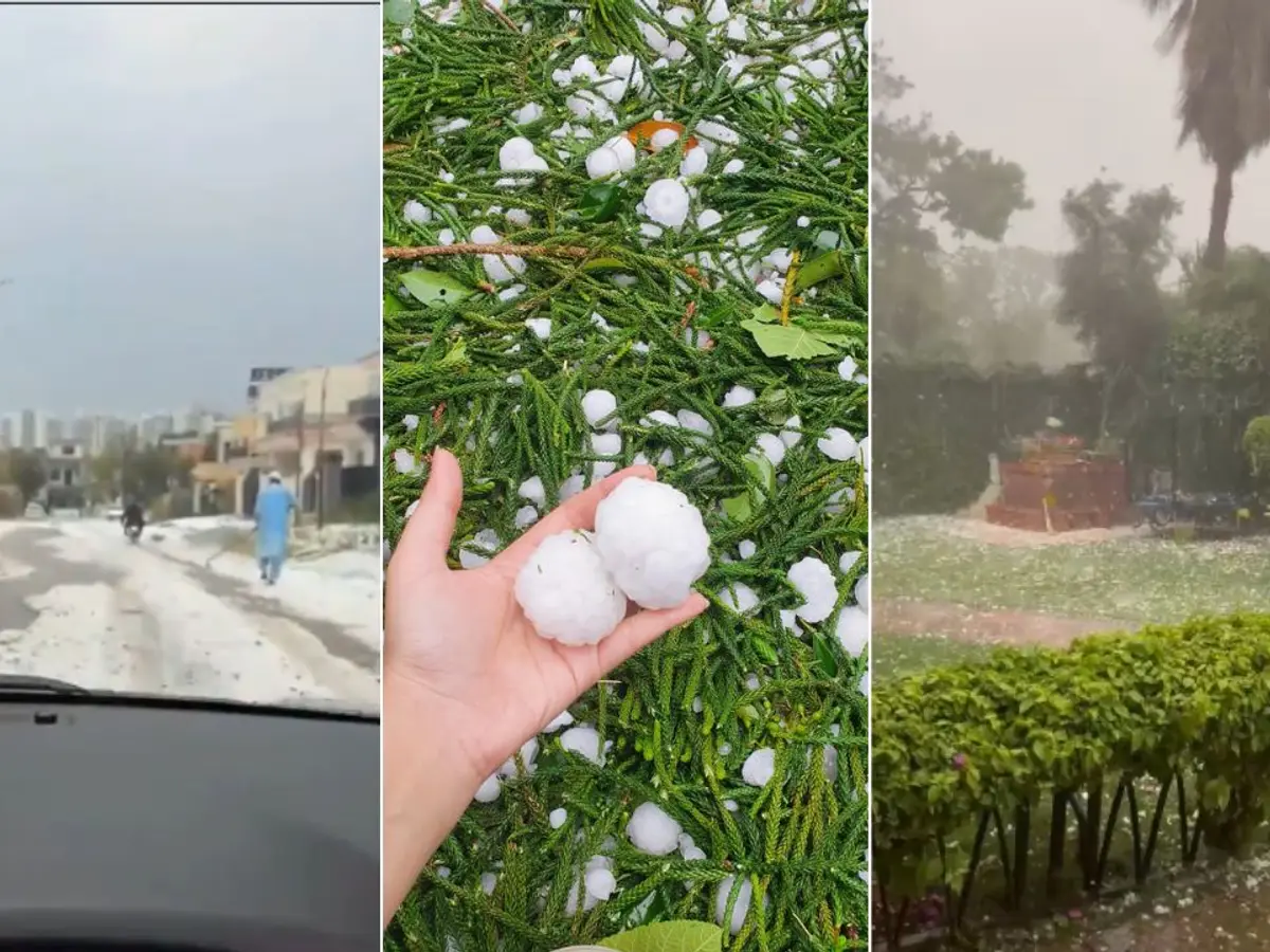 Vehicles damaged, windows shattered: ‘Insane’ hailstorm creates chaos ...