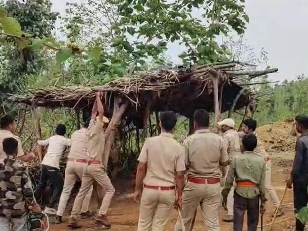 Pratapgarh forest department removed encroachment from 26 bigha forest ...