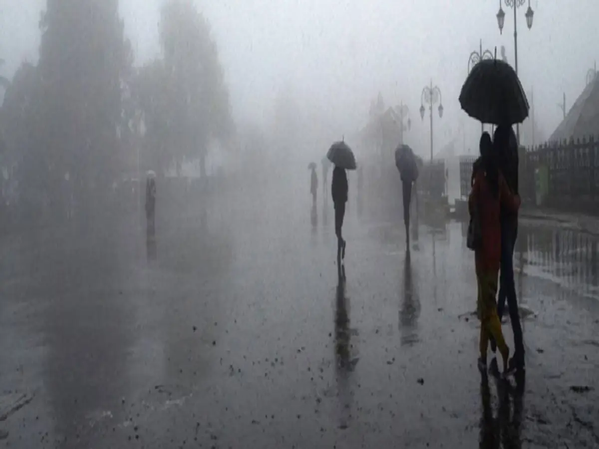 Dhani News | अजमेर में बारिश से हुआ पानी-पानी! जानें अपनी ढाणी की हर खबर