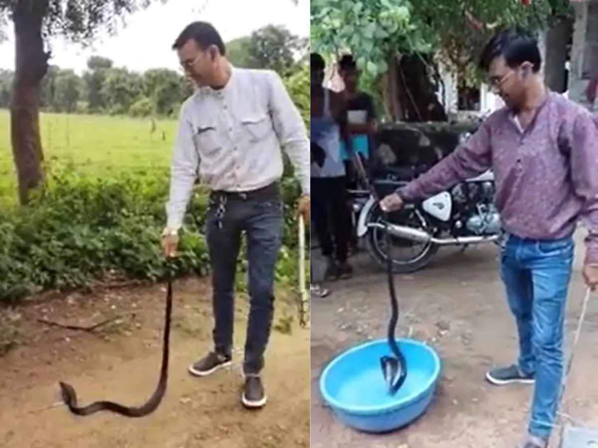 Snake Protector Naresh Arya | सांपों को मारने की सोच को बदल रहे नरेश आर्य