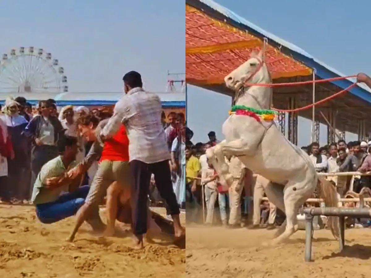 ajmer। ढोल-नगाड़ों पर थिरके घोड़े! Pushkar Mela में अश्व नृत्य ने लूटी ...