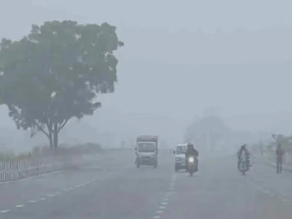 Sikar Weather Update | सीकर में बर्फीली हवा से काटना शुरू किया उधम ...