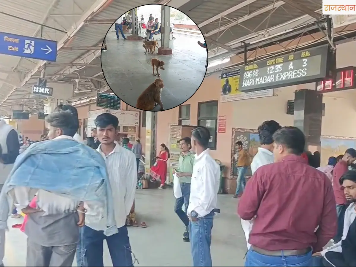Ringas Railway Station। रींगस रेलवे स्टेशन पर बंदरों का कहर, खाटूश्याम ...