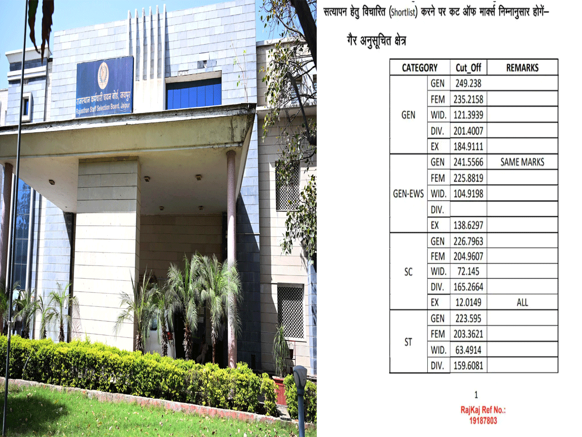 Rajasthan Patwari Result 2025 | RSSB ने जारी किया पटवारी रिजल्ट, कटऑफ ने उड़ाए होश, जानें 3705 ...