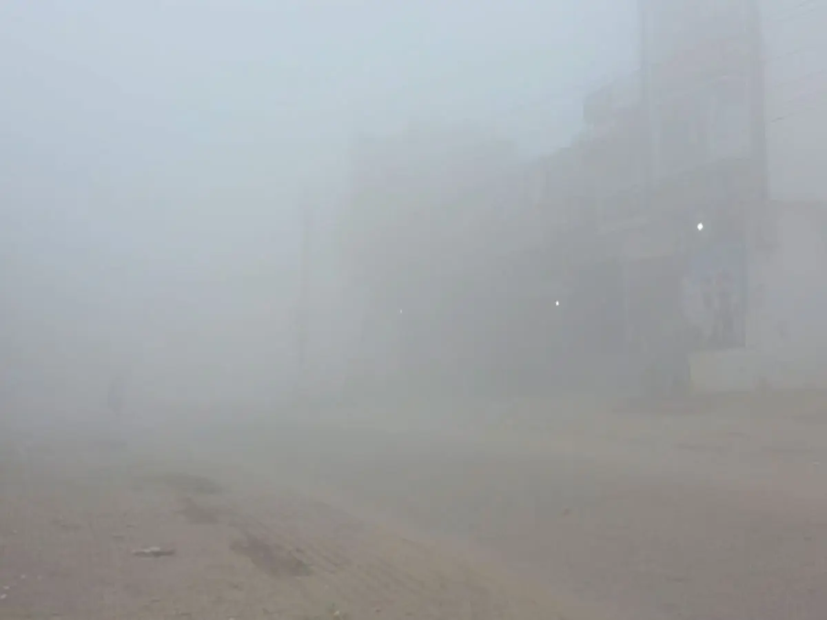 Bikaner Weather Update | बीकानेर में घने कोहरे से बदला मौसम, बढ़ी सर्दी ...
