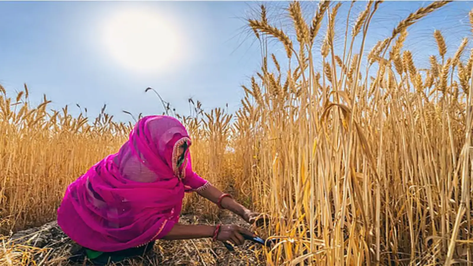 Rajasthan Weather|राजस्थान में 46°C तापमान के बीच तेज हवाओं और धूल भरी ...