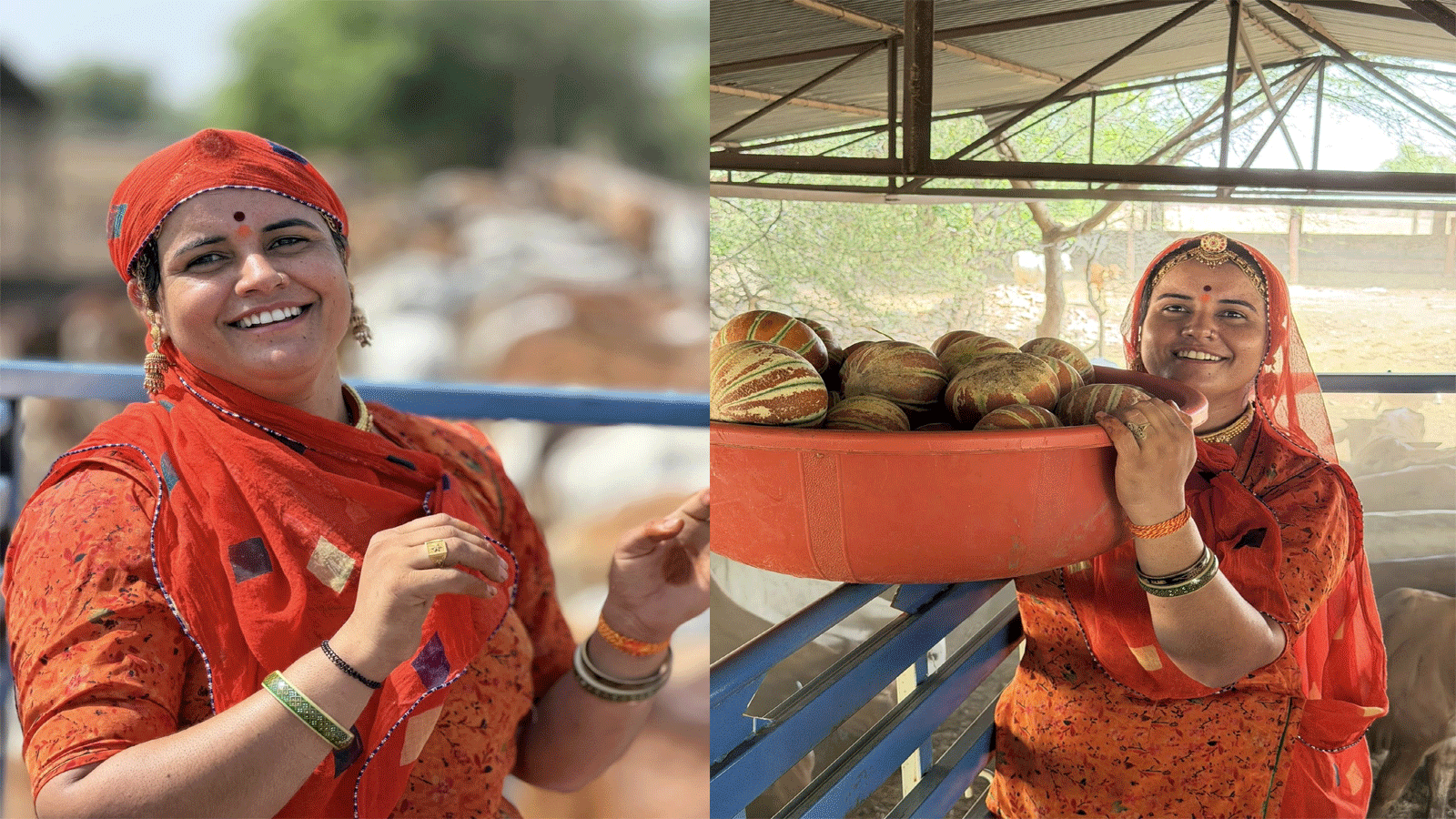 Anita Bishnoi|कौन हैं सोशल मीडिया इंफ्लुंसर अनीता विश्नोई? जिन्होंने ...