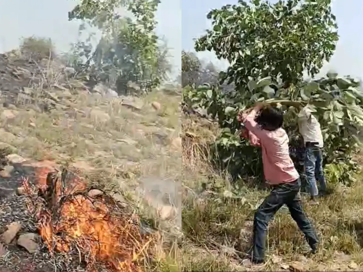 Alwar News|आग का तांडव और तूफान का कहर, अलवर की पहाड़ियां धधकीं, आंधी ...